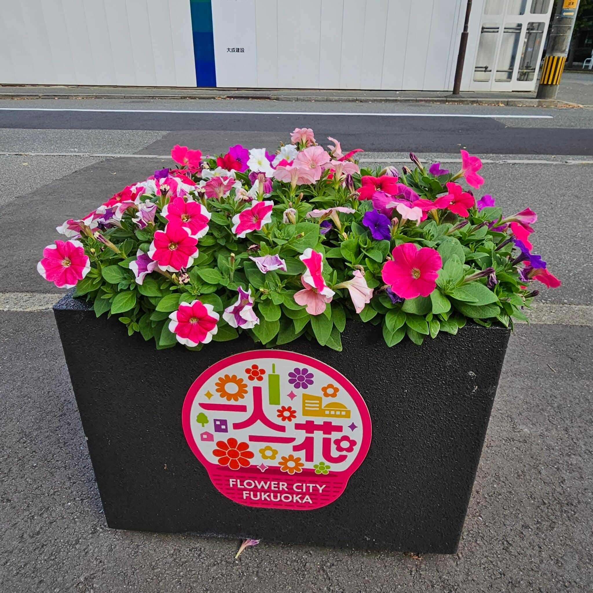 2026 - Fukuoka, Japan - WFTGA